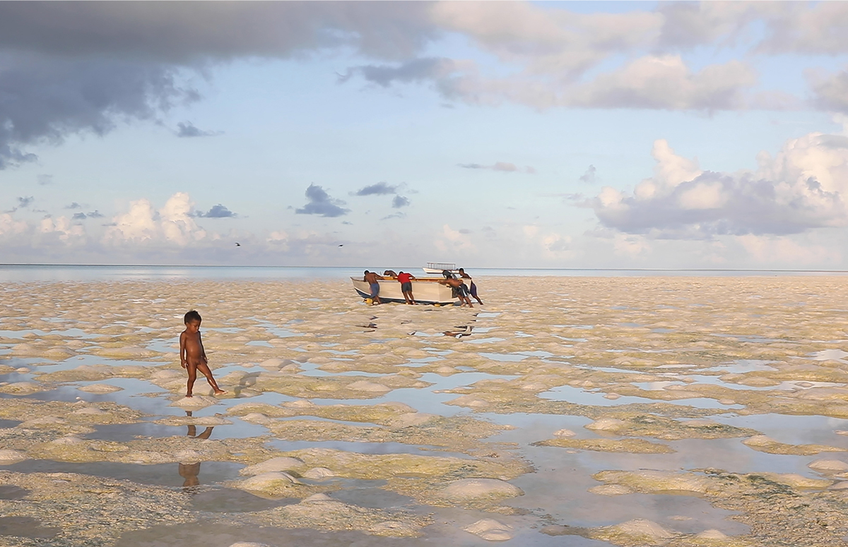 Mill Valley Film Festival at BAMPFA 2024 | BAMPFA