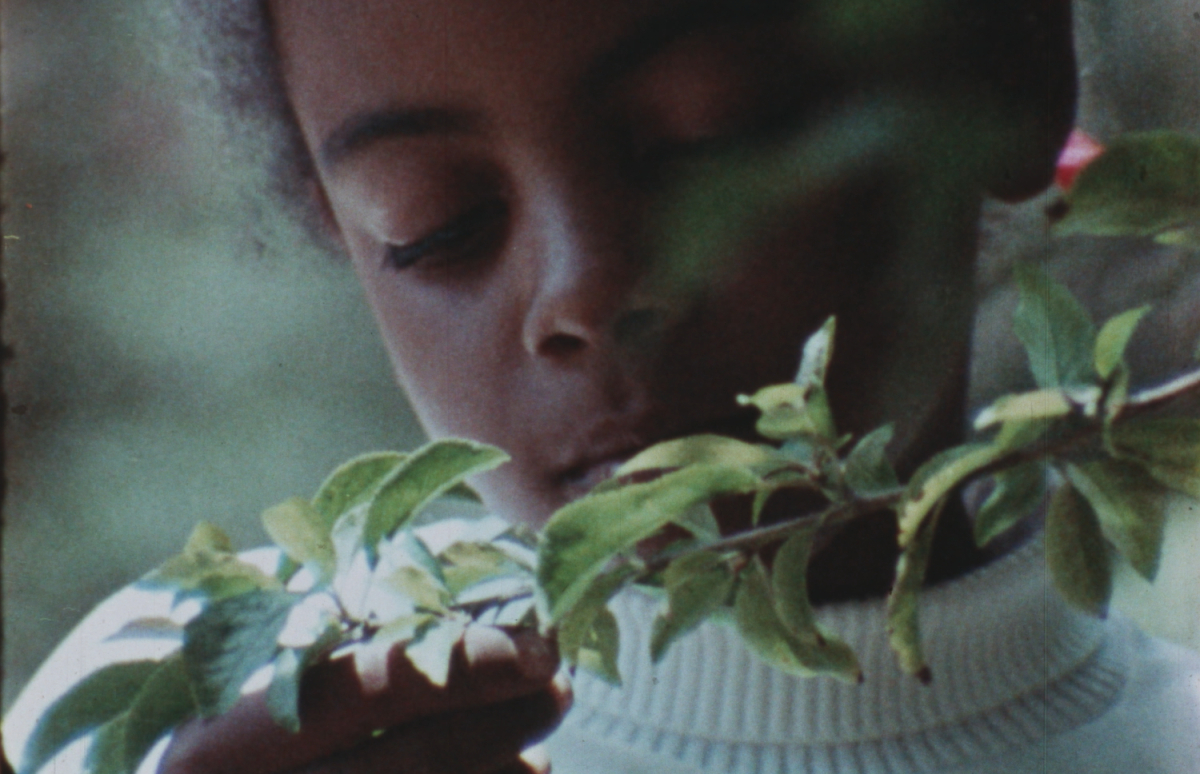 Alternative Visions | BAMPFA