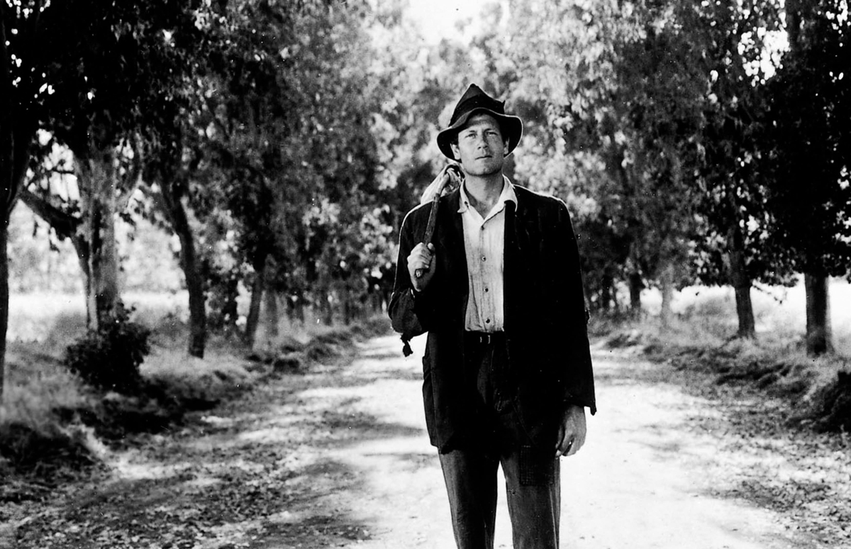 Preston Sturges: More Than Comedy | BAMPFA