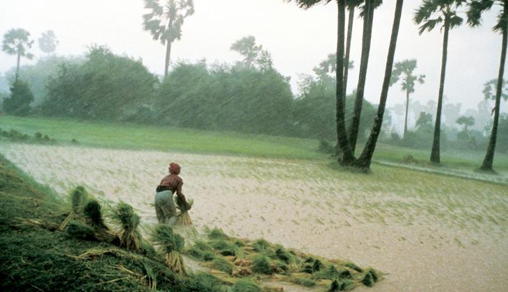 Rice People | BAMPFA