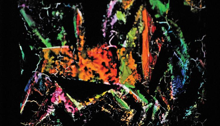 Streaming: Sara Kathryn Arledge’s Films and Art | BAMPFA