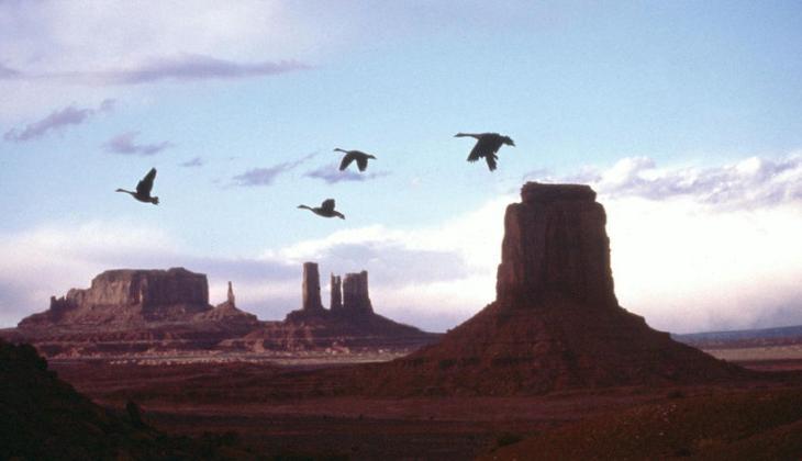 Winged Migration | BAMPFA