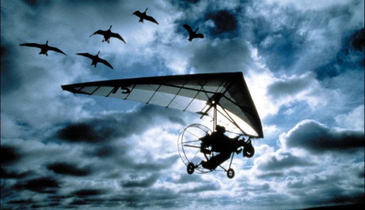 Winged Migration | BAMPFA