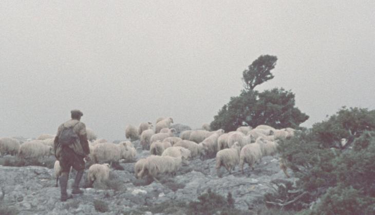 Vittorio De Seta’s Short Films | BAMPFA