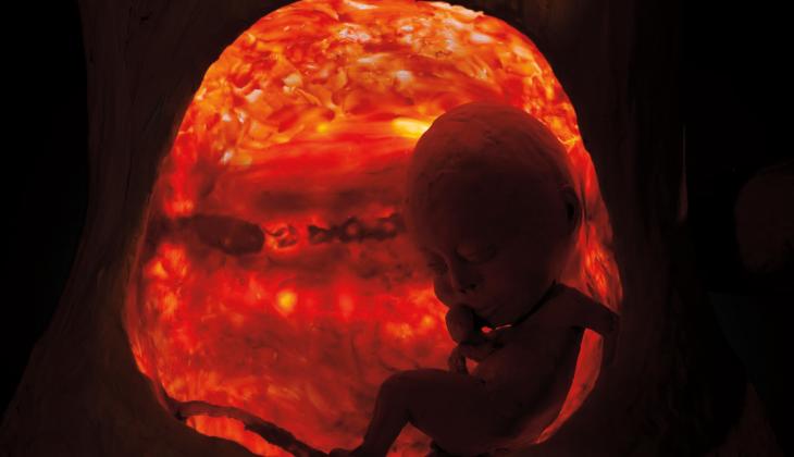 Polish Animation: Emerging Artists | BAMPFA