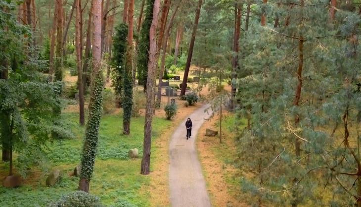 Neutra: Survival Through Design | BAMPFA